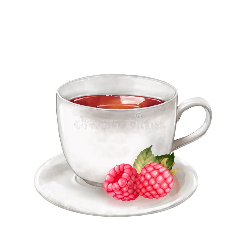 Raspberry Tea Illustration. Cup and Berries, Hand-drawn Stock ...