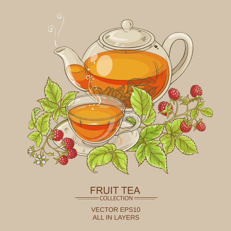 Raspberry tea illustration stock vector. Illustration of plant - 85354755