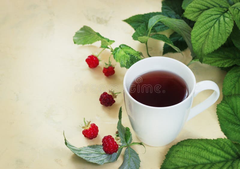 Raspberry Tea with Leaves and Raspberries on a Light Background Stock ...