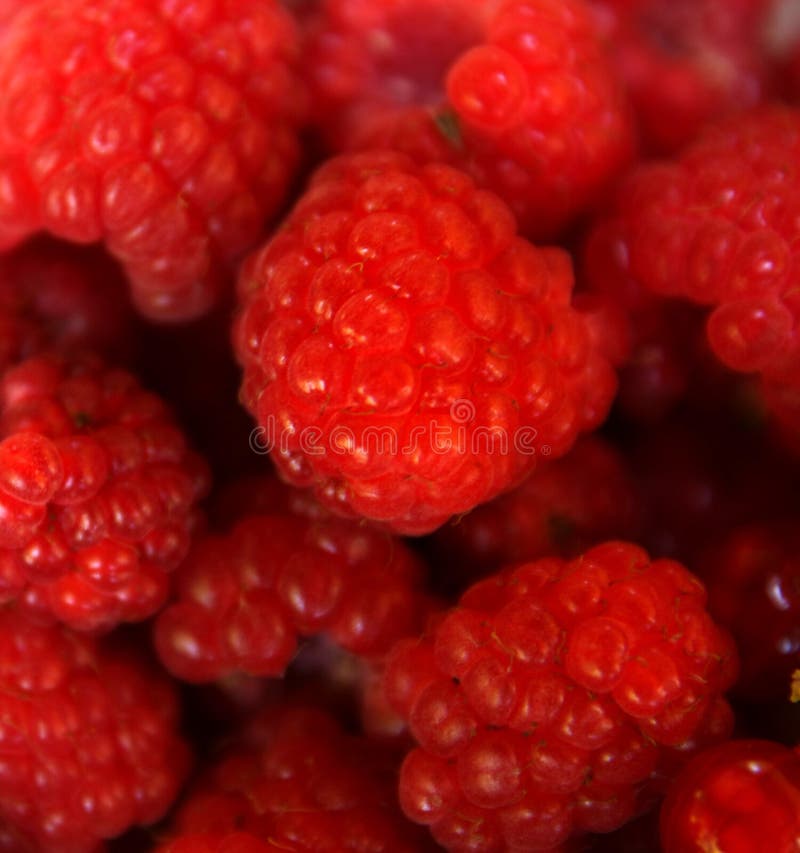 Raspberry texture stock image. Image of healthy, colour - 73910581