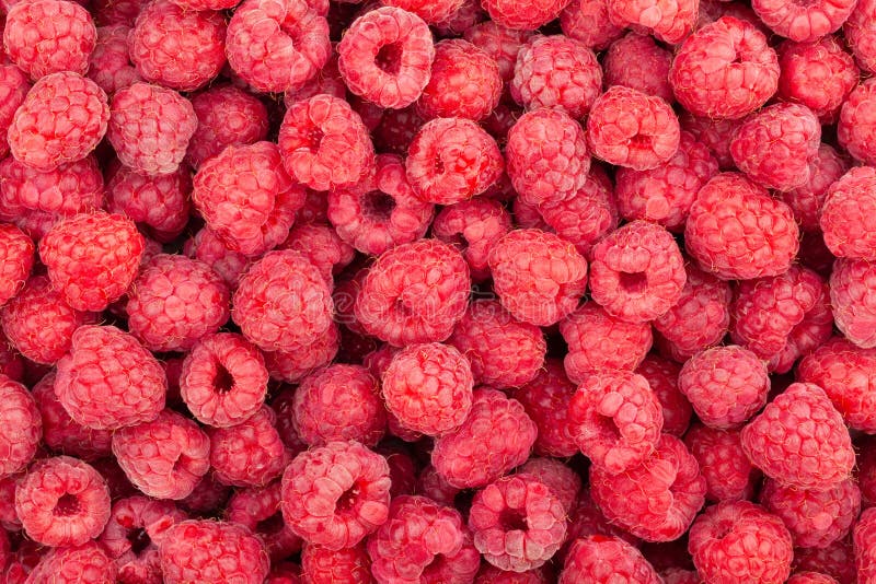 Raspberry texture stock image. Image of studio, antioxidant - 211873083