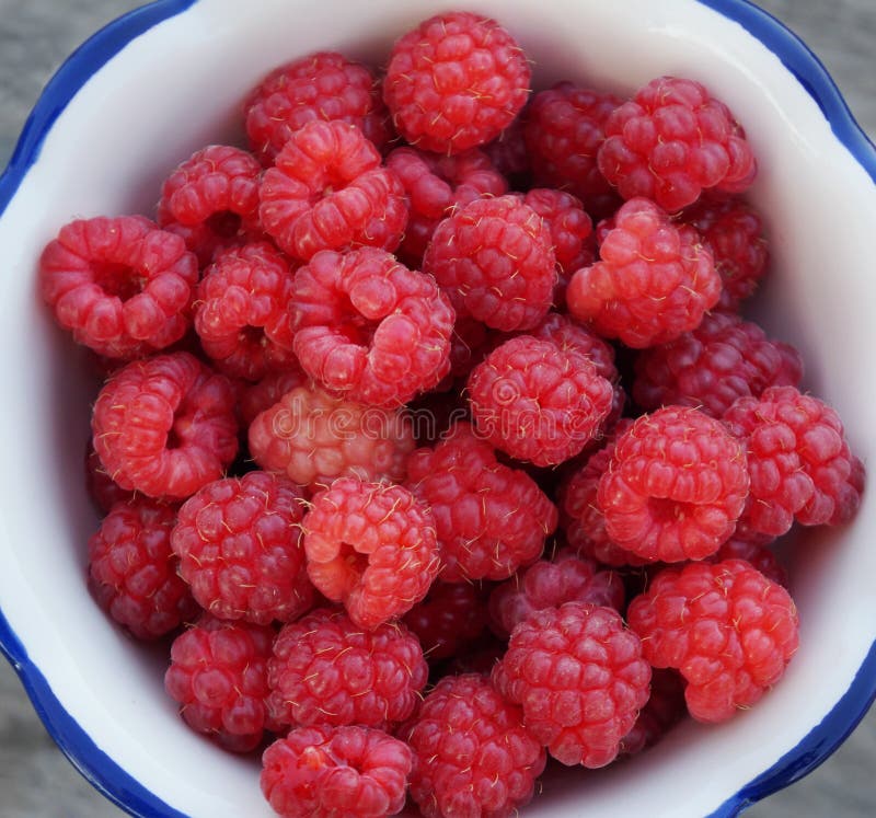 Raspberry, Top View. Forest or Garden Berries. Stock Image - Image of ...