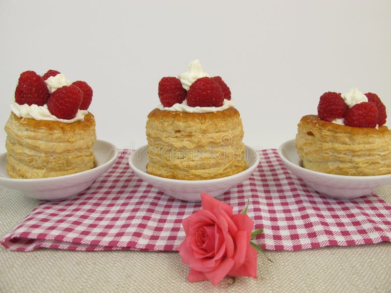 Raspberry torte stock photo. Image of filled, pasty, food - 65013030