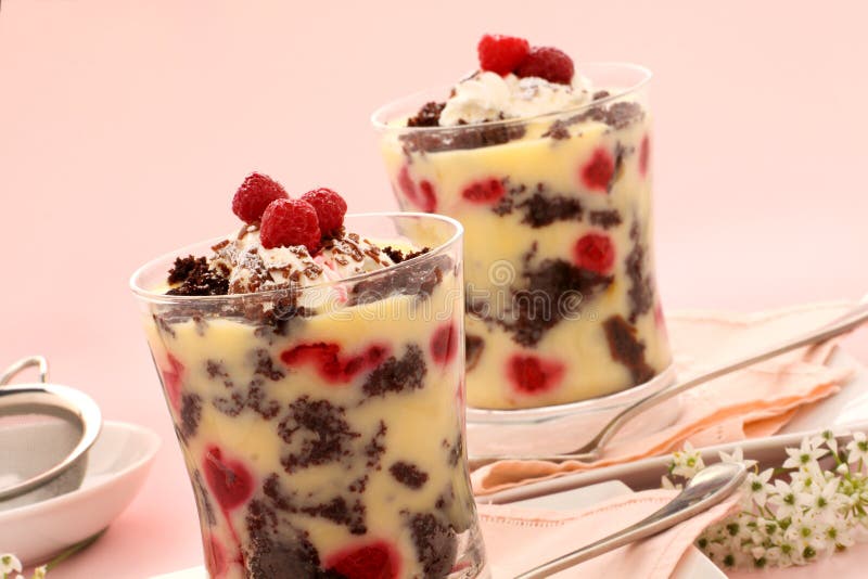 Raspberry Chocolate Trifle stock image. Image of extravagance - 32918469