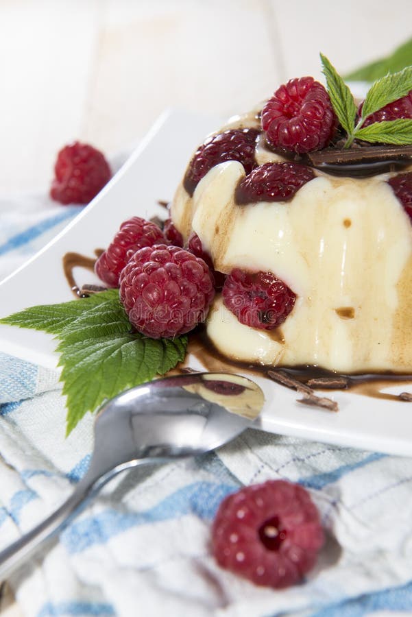 Raspberry Vanilla Pudding stock image. Image of dairy - 30954203