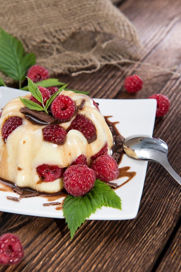 Raspberry Vanilla Pudding stock image. Image of shot - 33014857
