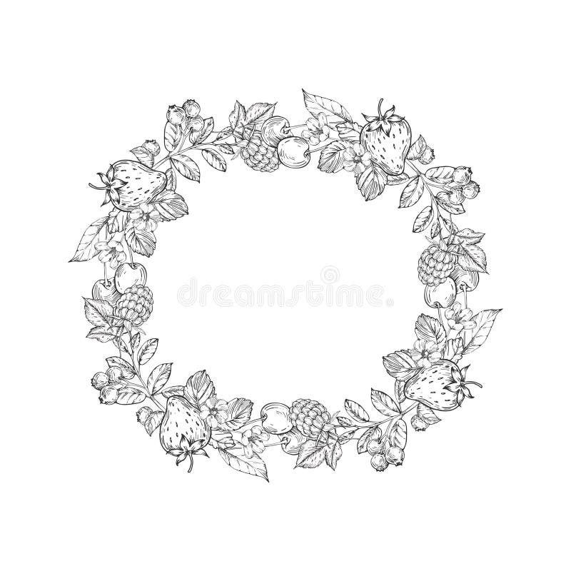Raspberry Vector Black and White Wreath Hand Drawn with Ink Stock ...