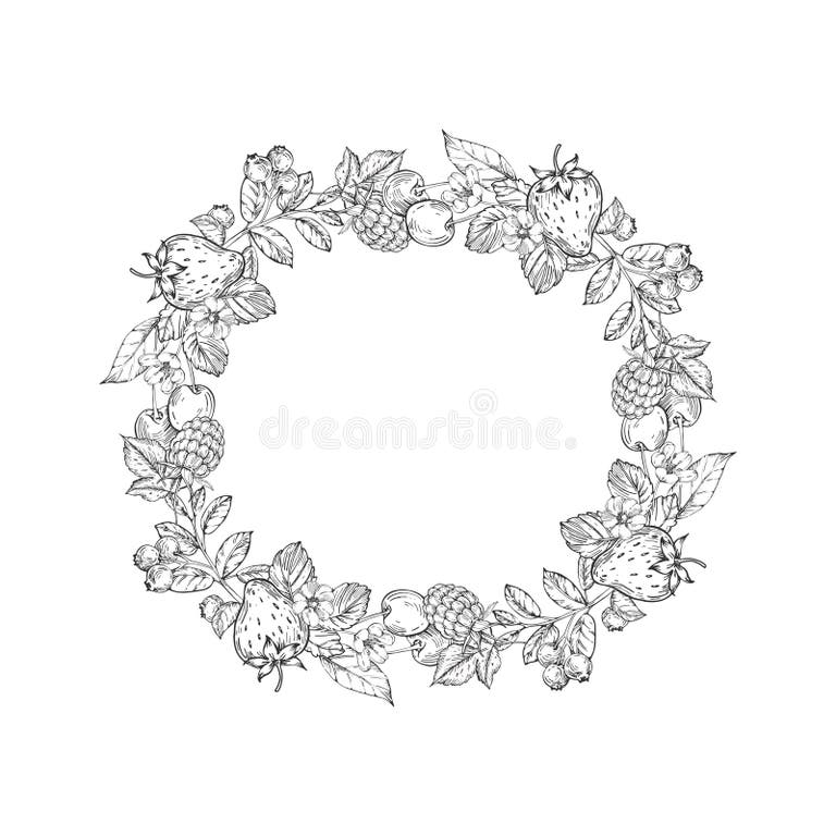 Raspberry Vector Black and White Wreath Hand Drawn with Ink Stock ...