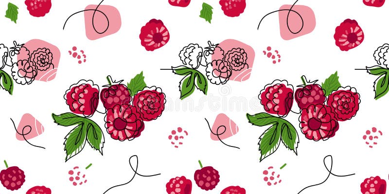 Raspberry Vector Pattern. One Continuous Line Art Drawing of Raspberry ...