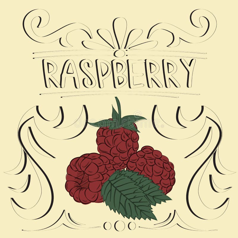 Raspberry vintage poster. stock vector. Illustration of advertising ...