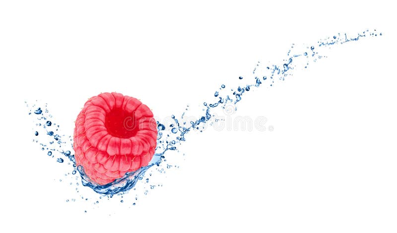 Raspberry in Water Splashes Isolated on White Background. Stock Photo ...