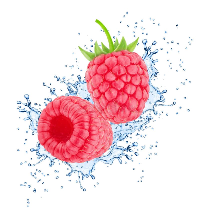 Raspberry in Water Splashes Isolated on White Background. Stock Image ...