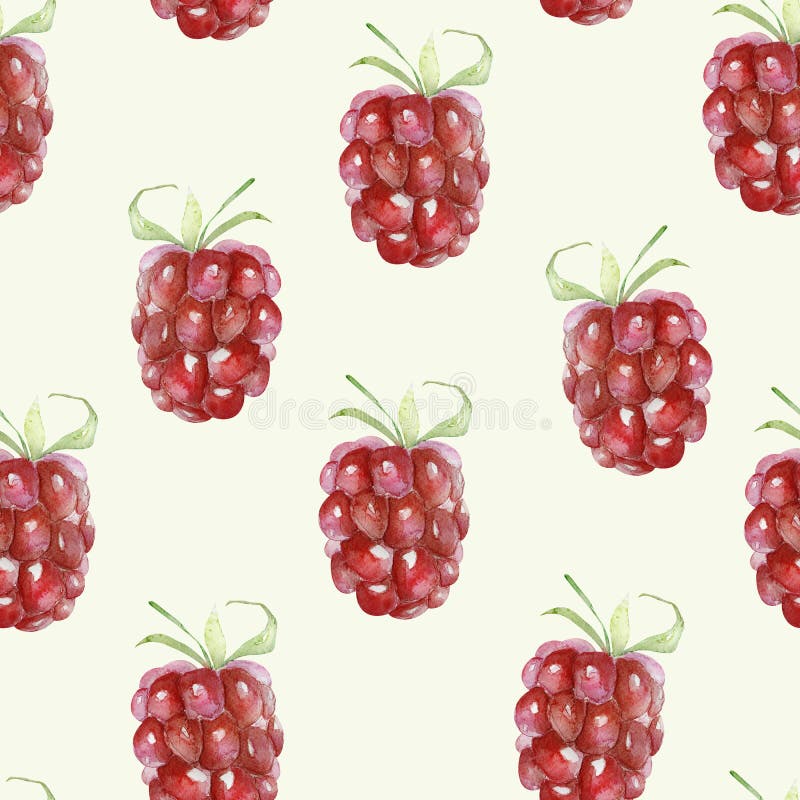 Raspberry Watercolor Seamless Pattern Stock Illustration - Illustration ...