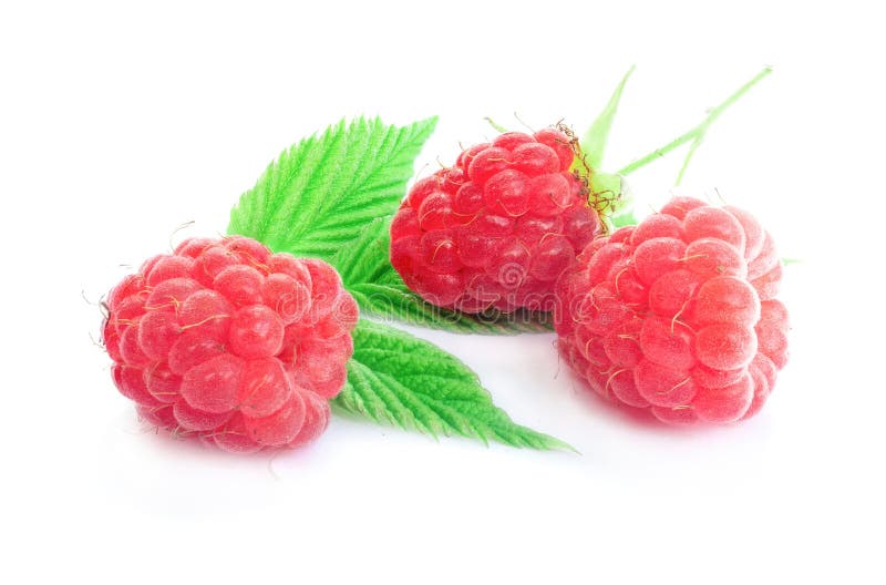 Raspberry on White Background Stock Image - Image of raspberries, leaf ...