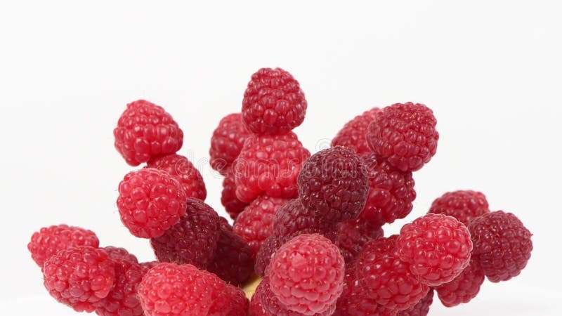Raspberry on White. Extrem Close-up. Side View. Loop Motion Stock ...