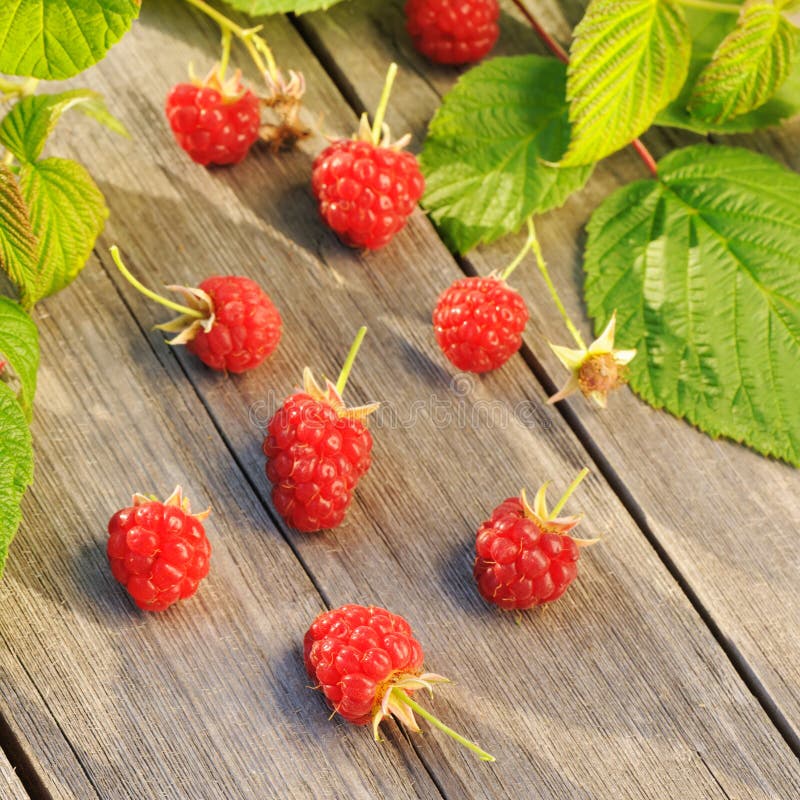Raspberry on wooden table stock image. Image of nature - 26212339