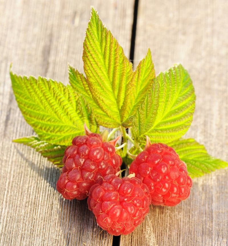 Raspberry on wooden table stock photo. Image of wood - 26212342