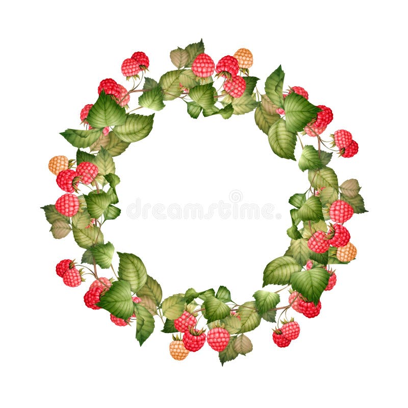 Raspberry Wreath with Berries and Leaves, Hand-drawn Botanical ...