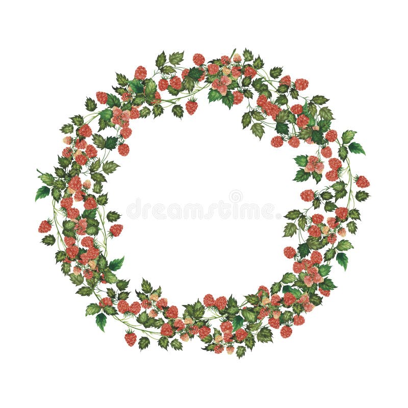 Raspberry Wreath Watercolour Round on White Stock Illustration ...