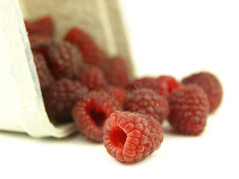 Raspberry In Zoom Picture. Image: 6638088