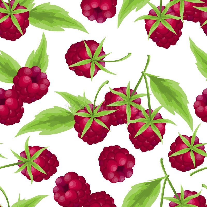 Raspberry seamless pattern stock vector. Illustration of pink - 152232346