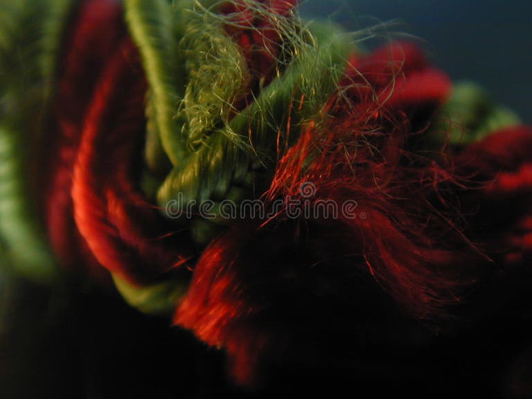 Rasta Hair Texture Stock Photos - Free & Royalty-Free Stock Photos from ...