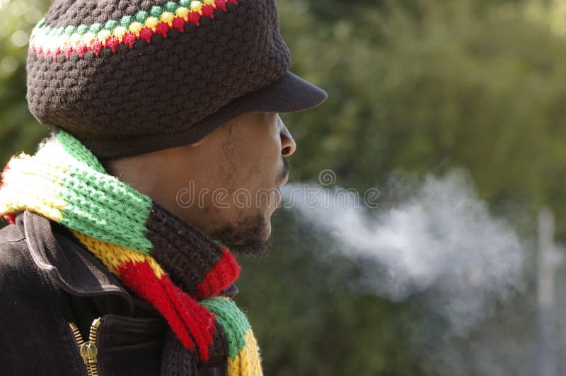 Rasta man and smoke stock photo. Image of belief, back - 4867602