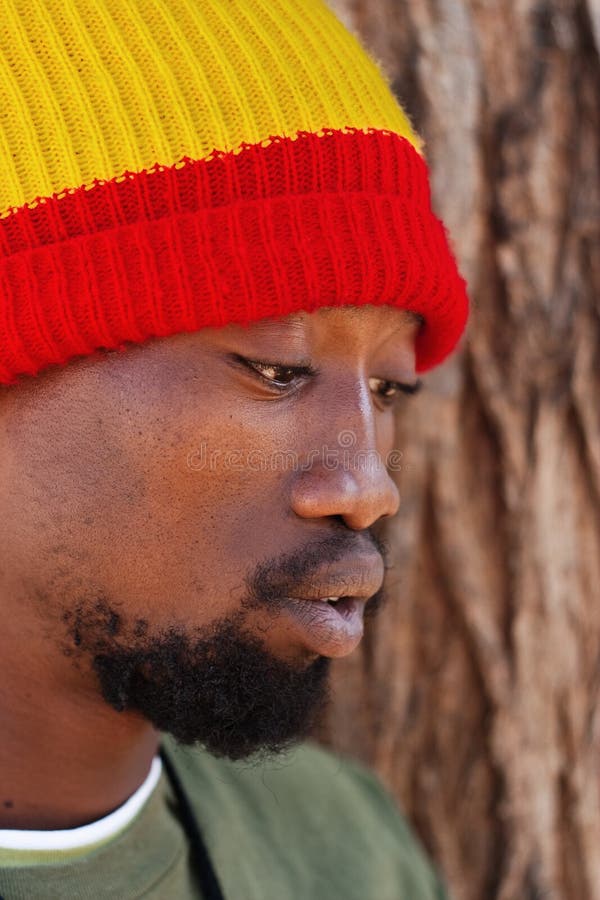 Rastafarian stock photo. Image of reggae, casual, face - 4775522