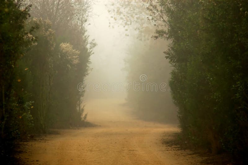 Brumoso Fotos De Stock - Descarga 223,844 Fotos Libres de Derechos