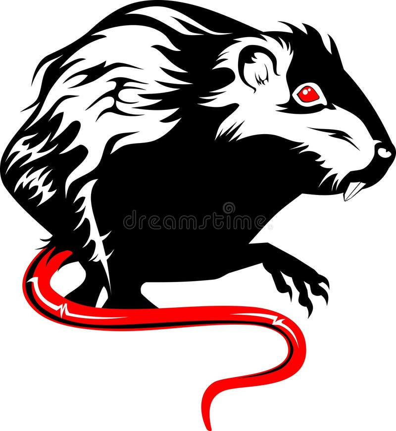Rat on white background stock vector. Illustration of east - 11188888