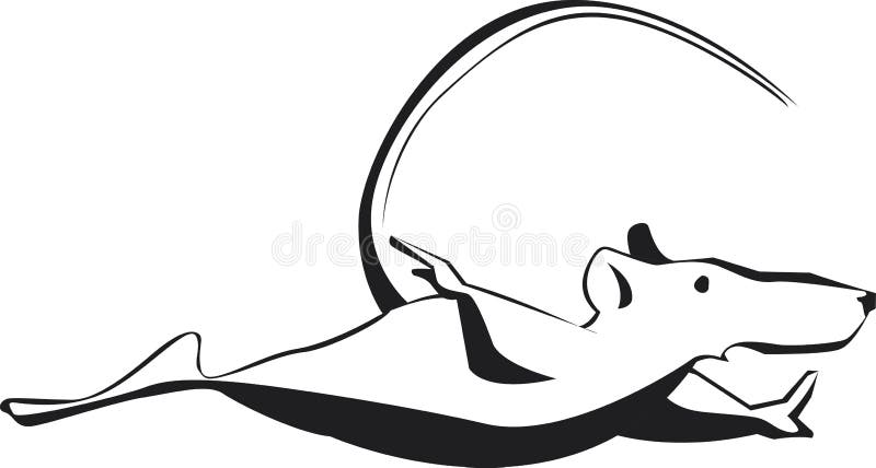 A Rat Feel Flying in Profile Stock Illustration - Illustration of ...