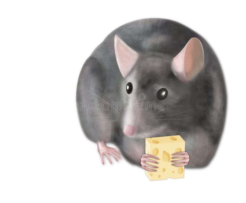 547 Rat Eating Cheese Stock Photos - Free & Royalty-Free Stock Photos ...