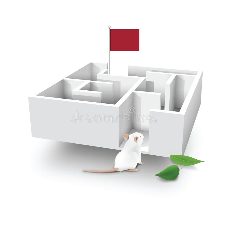 Rat Approaching a Maze. Vector Illustration Decorative Design Stock ...
