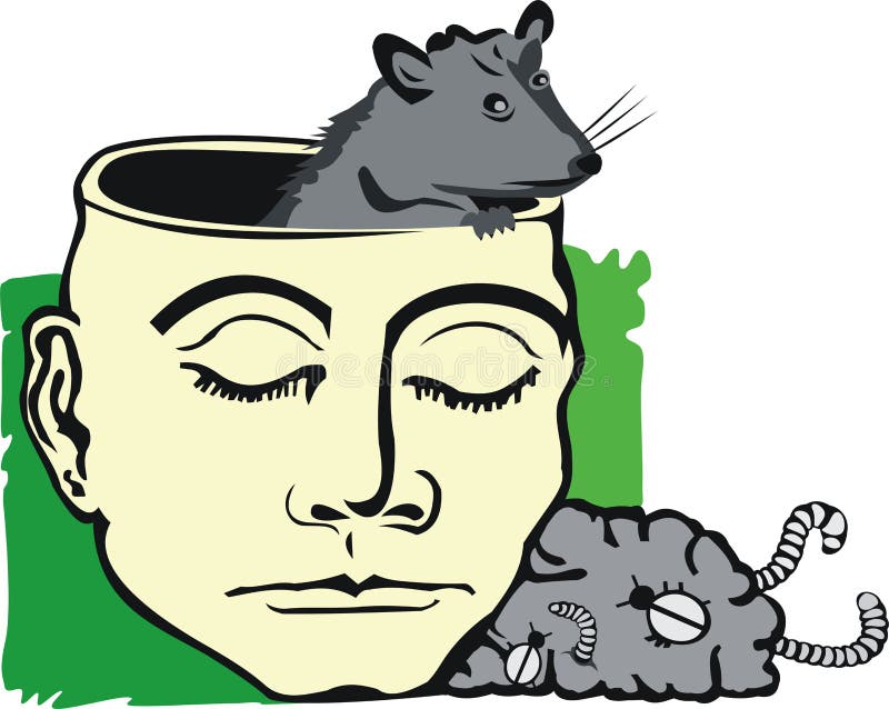 Rat in brain stock vector. Illustration of brainless - 13133903