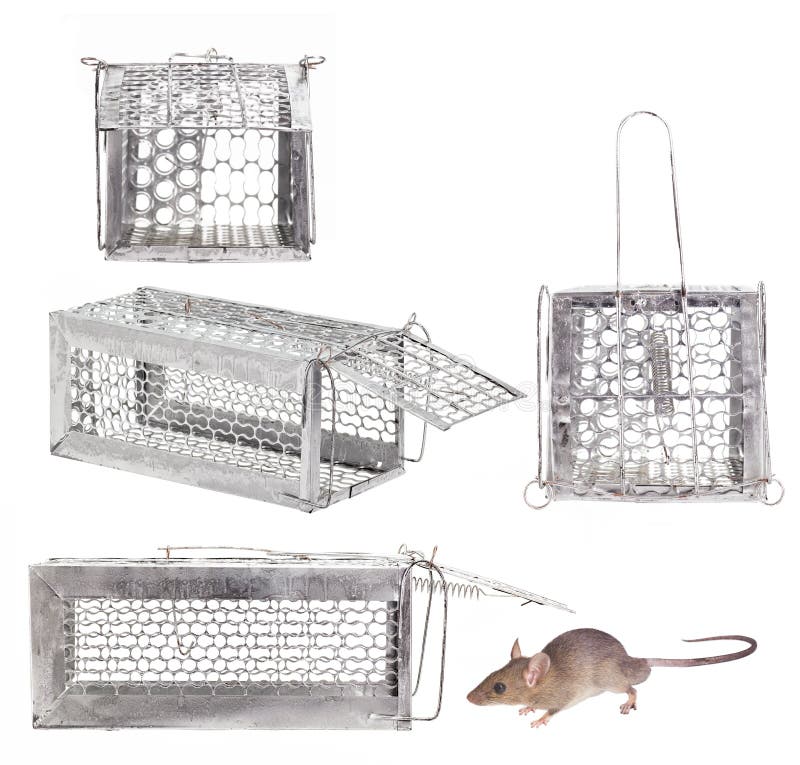 Animal Control Cages Stock Photos - Free & Royalty-Free Stock Photos ...