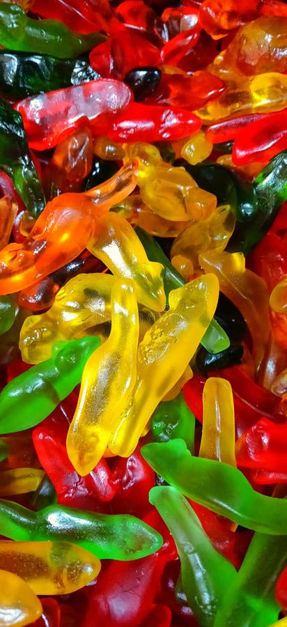 Rat candy colours stock photo. Image of fish, plant - 144730722