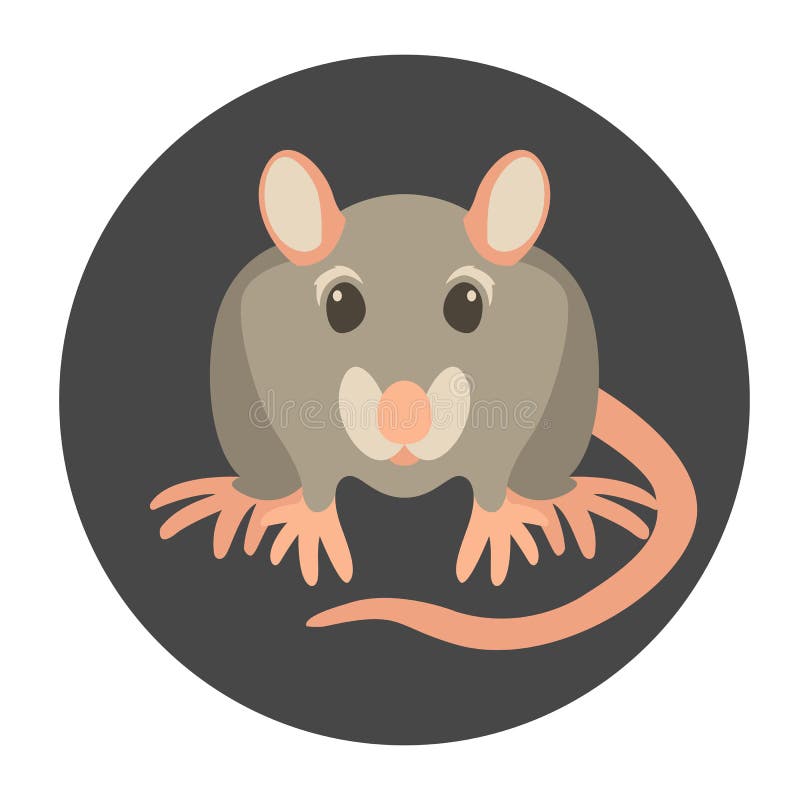 Rat Cartoon Vector Illustration Style Flat Stock Vector - Illustration ...