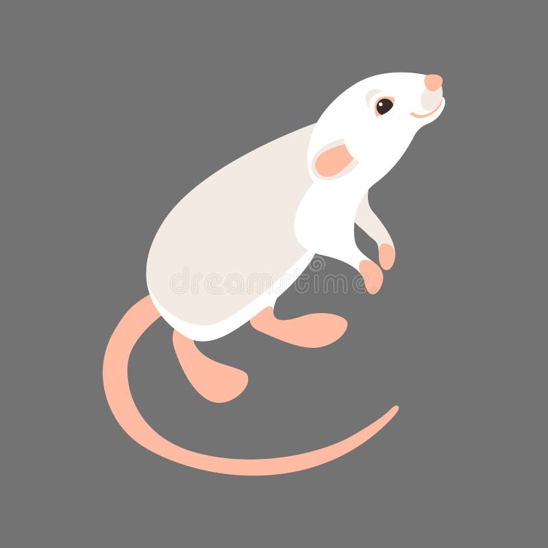 Rat Cartoon Vector Illustration Style Flat Stock Vector - Illustration ...