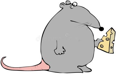 Rat with Cheese stock illustration. Illustration of rodent - 13113760