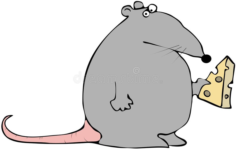 Rat with Cheese stock illustration. Illustration of rodent - 13113760