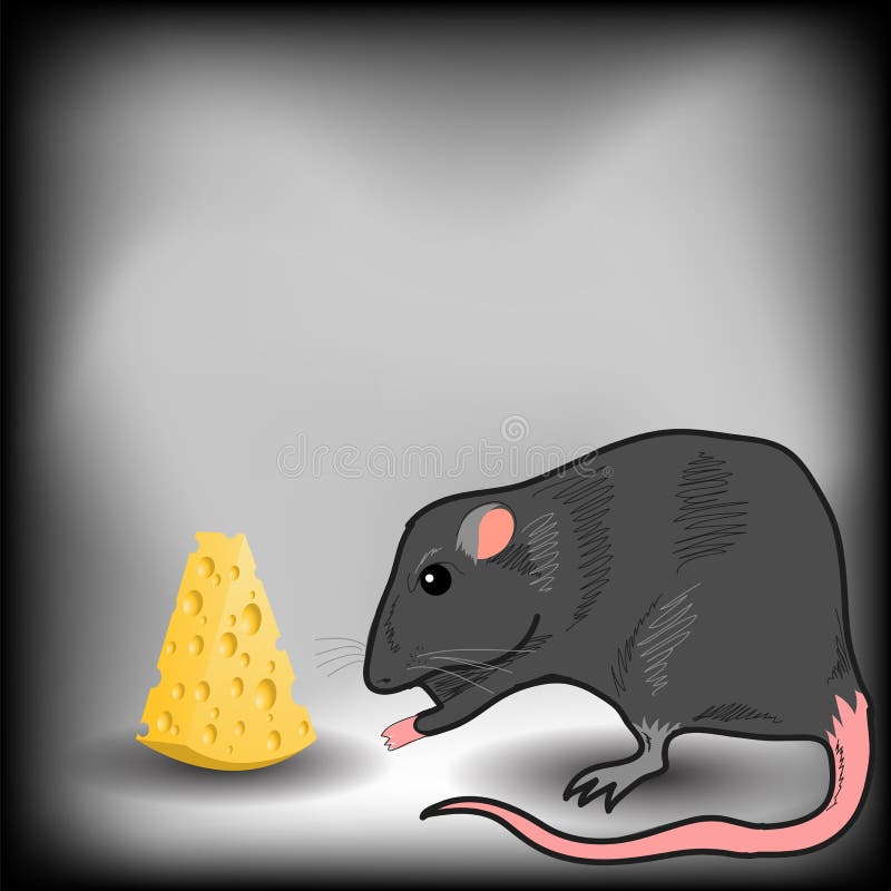 Rat and Cheese stock illustration. Illustration of life - 57713546