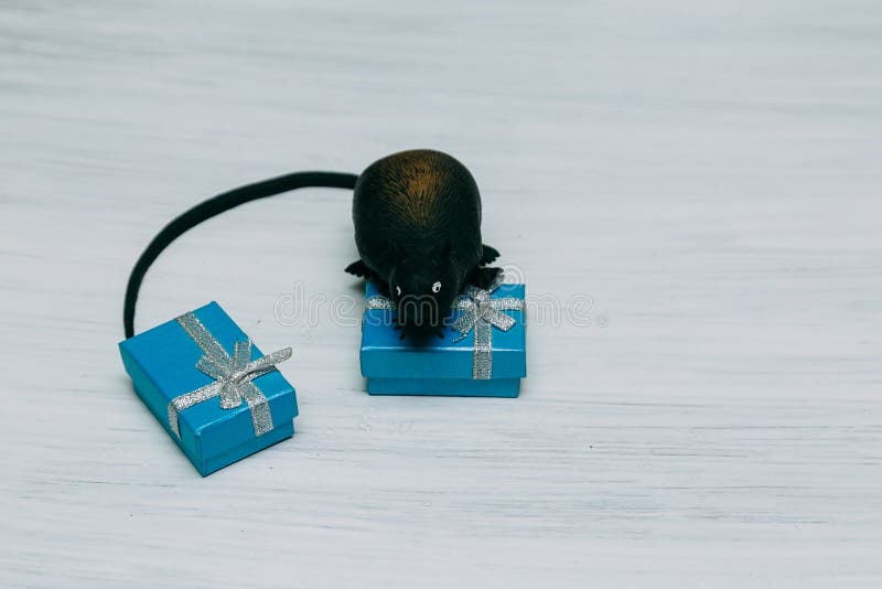 Rat with christmas gifts stock photo. Image of decorative - 162517208