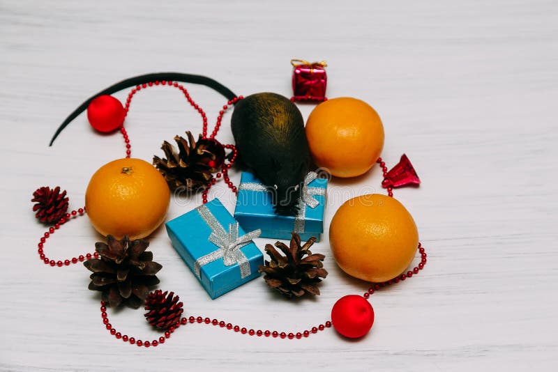 Rat with christmas gifts stock photo. Image of concept - 162517524