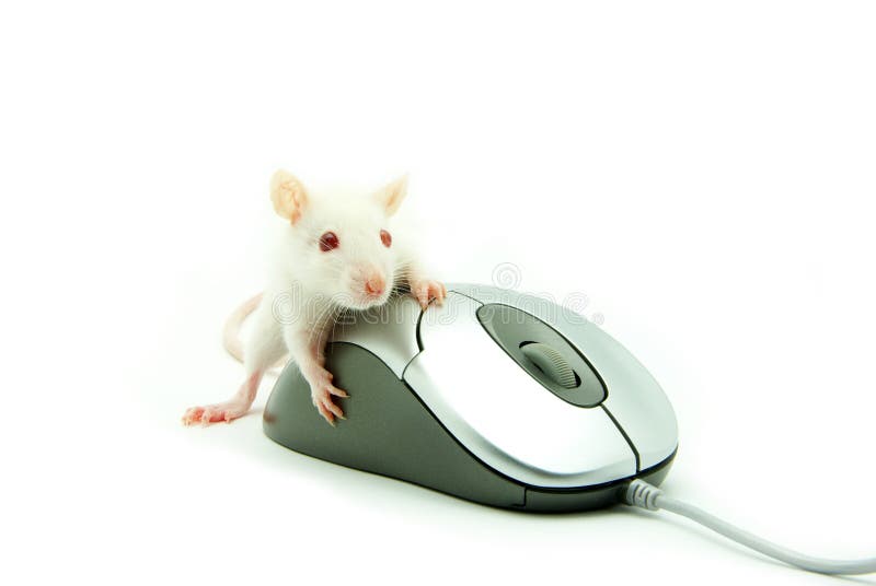 Funny Photos Computer Mouse