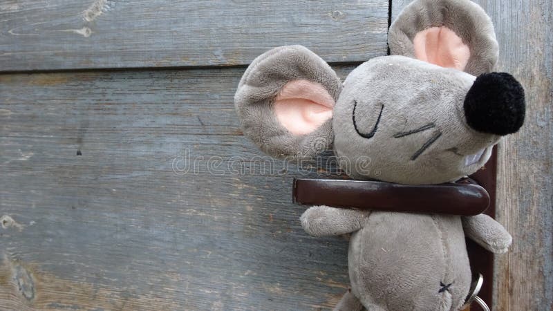 The Rat by the Door Handle. Stock Image - Image of year, childhood ...