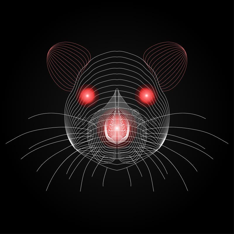 Rat Face X-ray with Red Luminous Eyes Stock Vector - Illustration of ...