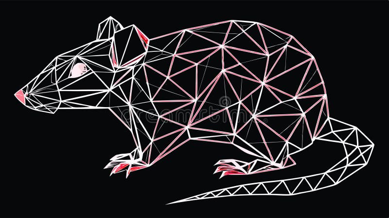 Rat Form Lines, Triangles and Particle Style Design. Illustration ...