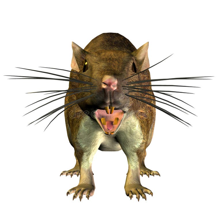 Rat Manager Stock Illustrations – 286 Rat Manager Stock Illustrations ...