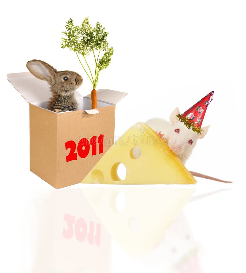 Rat and grey rabbit stock image. Image of mammal, winter - 17529619