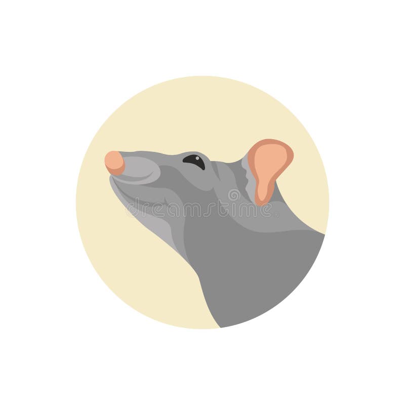 Mouse Face Head Vector Illustration Flat Style Front Stock Vector ...